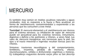 Fundamentos de toxicología y actividad1.pptx