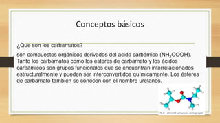TOXICOLOGÍA DE carbamatos.pptx