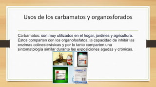 TOXICOLOGÍA DE carbamatos.pptx
