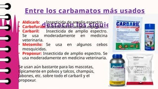 TOXICOLOGIA CARBAMATOS Y ORGANOSFOSFORADOS G2.pptx