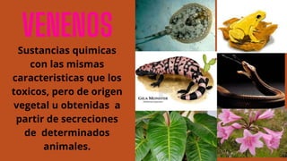 TOXICOLOGIA CLASE 1 PRESENTACION - copia.pptx