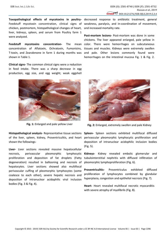 Toxicological_and_Pathological_Effects_Mycotoxins_Poultry.pdf