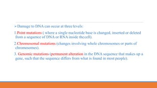 Toxicological approach for drug discovery | PPTX