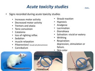 Toxicological screening | PPTX