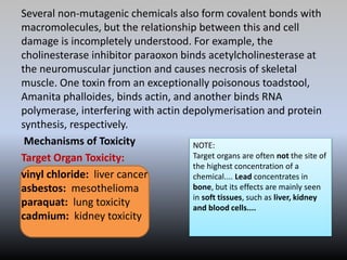Principle o f Toxicology and ADR | PPTX