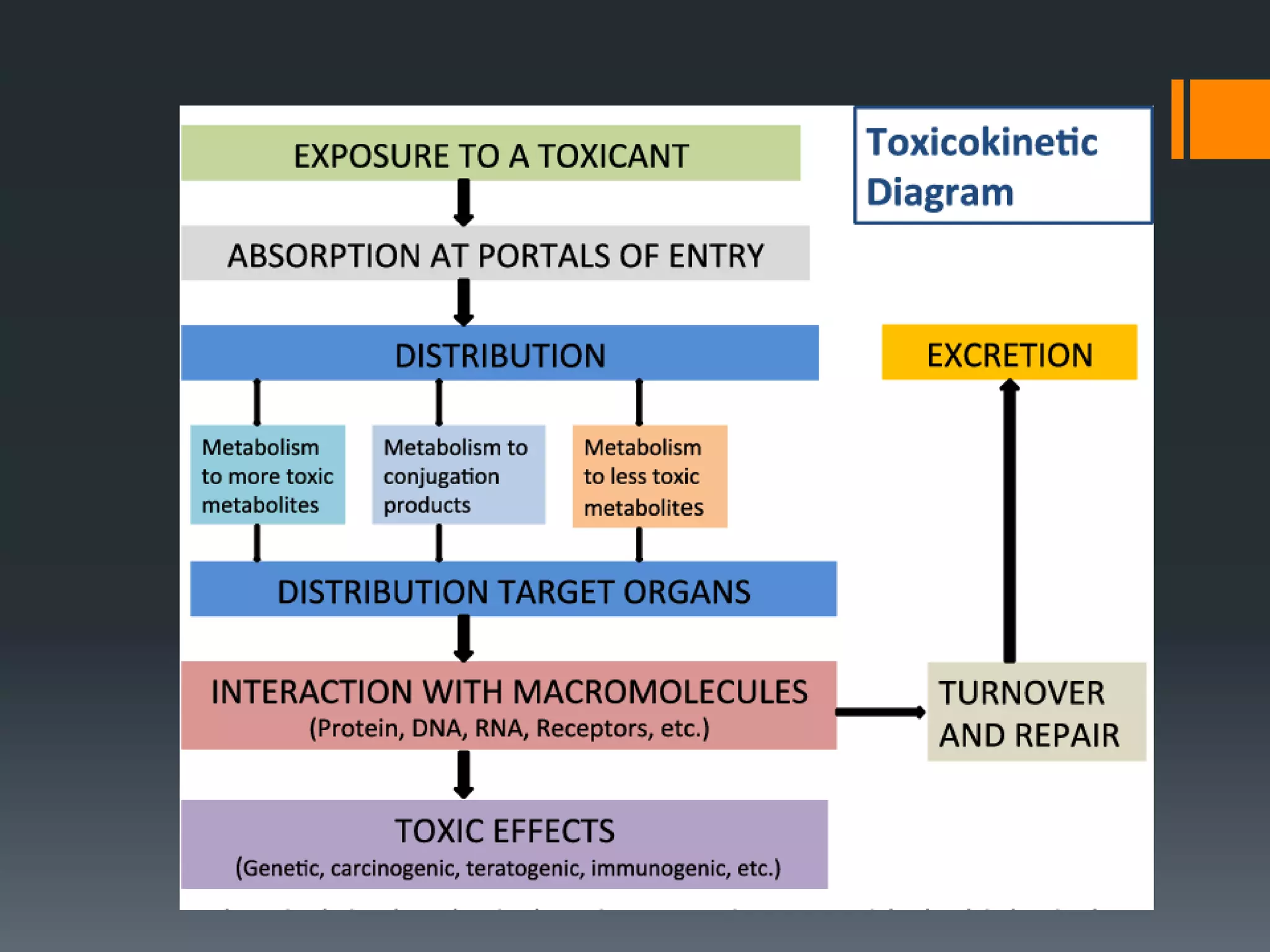 Toxicology | PPTX