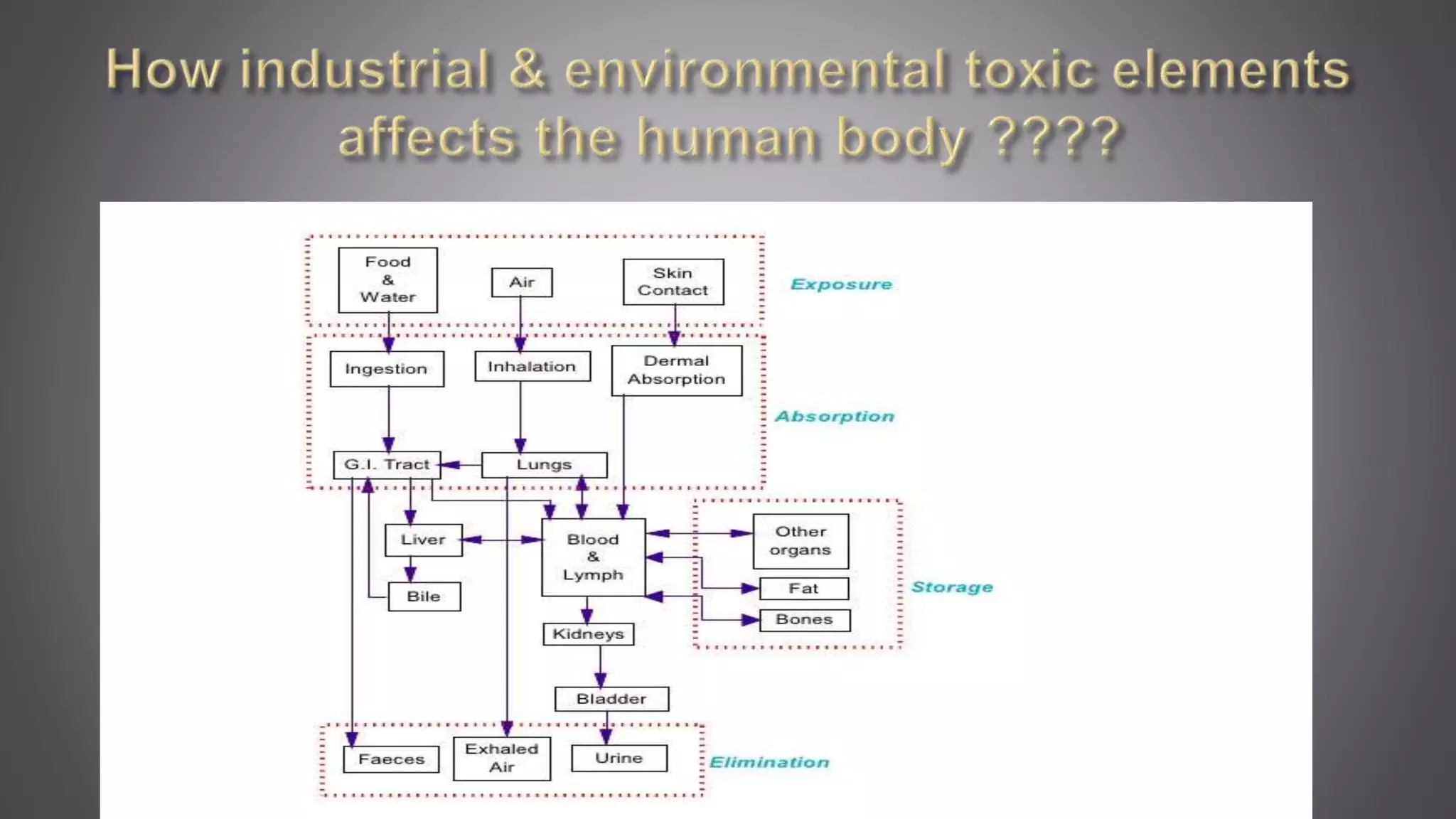 TOXICANTS AFFECTING ENVIRONMENTAL | PPTX
