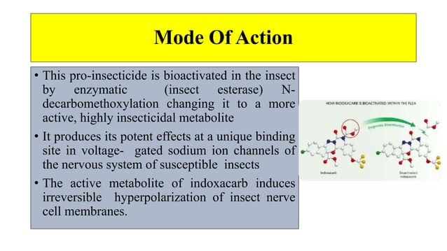 Developments in newer molecules of insecticide the modes of action and ...