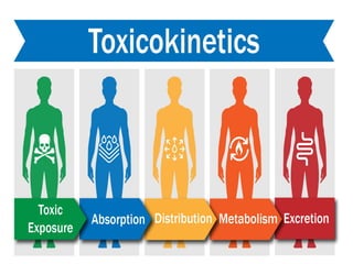 toxicological kinetics (absorption to extraction toxin from body | PPTX