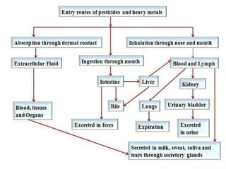 toxicological kinetics (absorption to extraction toxin from body | PPT