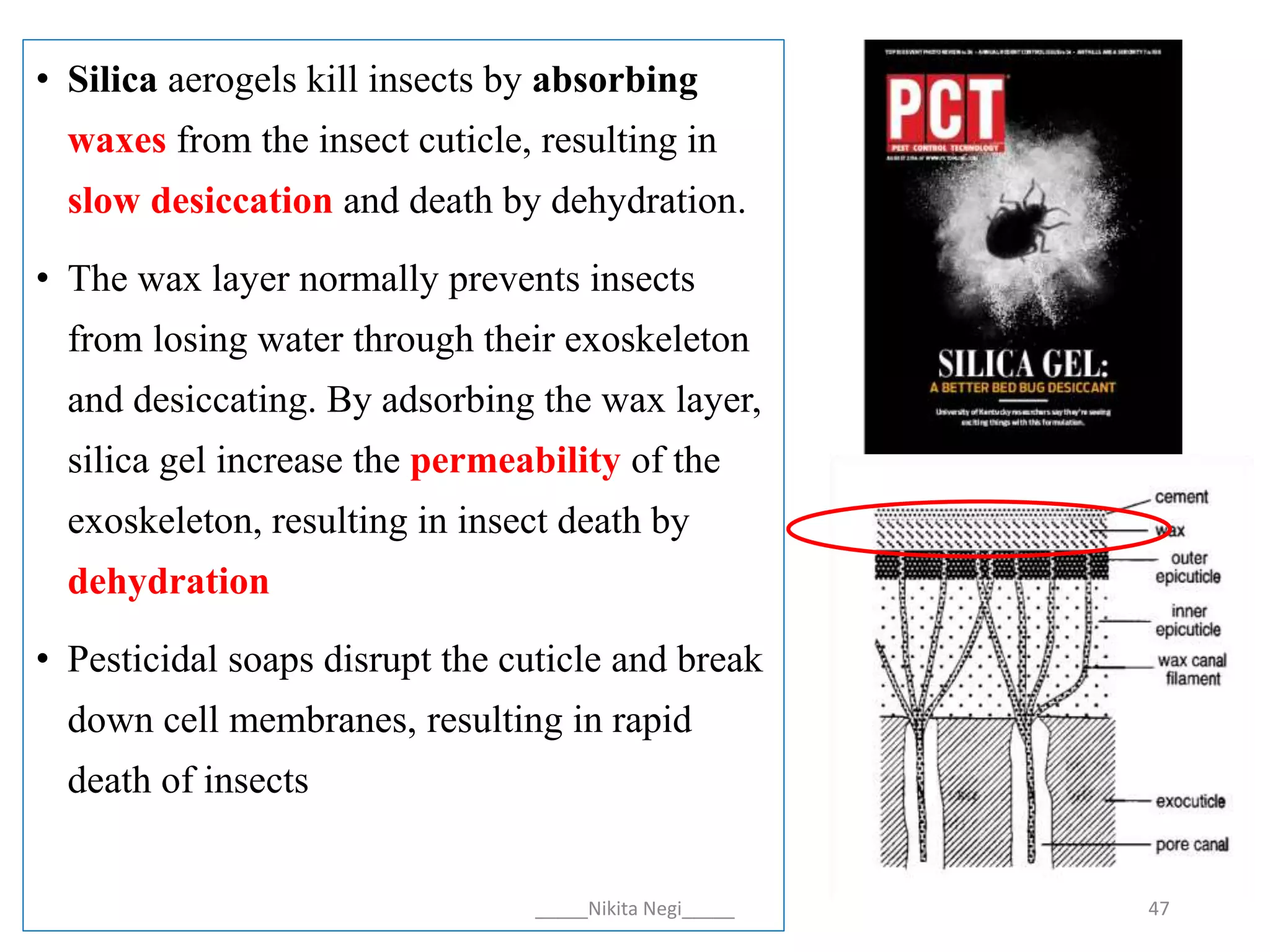 Biochemical and physiological target sites of insecticides on insect | PPTX