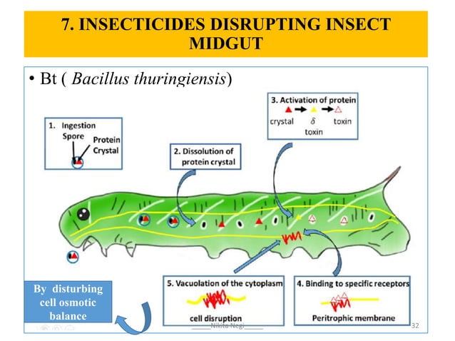 Biochemical and physiological target sites of insecticides on insect | PPTX