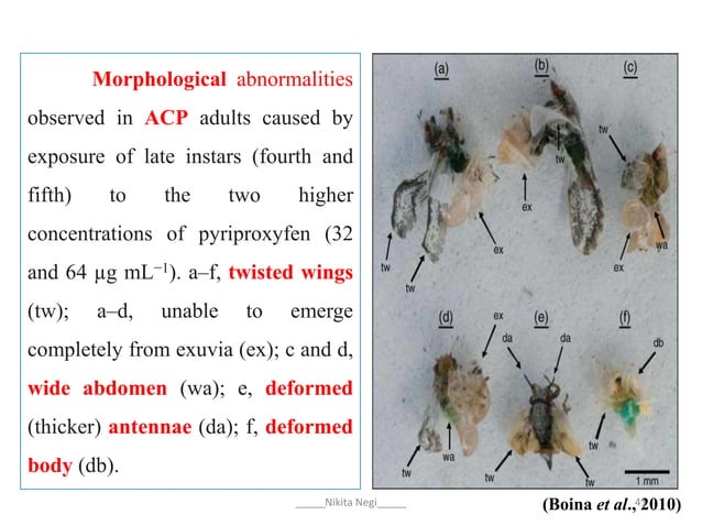 Biochemical and physiological target sites of insecticides on insect | PPTX