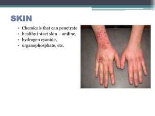 Toxicology and its types by Kashikant Yadav | PPTX