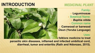 TOXICOLOGY ASSESSMENT PPT.pptx of baphia nitida extract | PPT