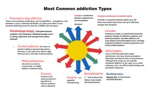 Toxicology assighnment.pptx The brain and reward system | PPTX ...