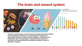 Toxicology assighnment.pptx The brain and reward system | PPTX