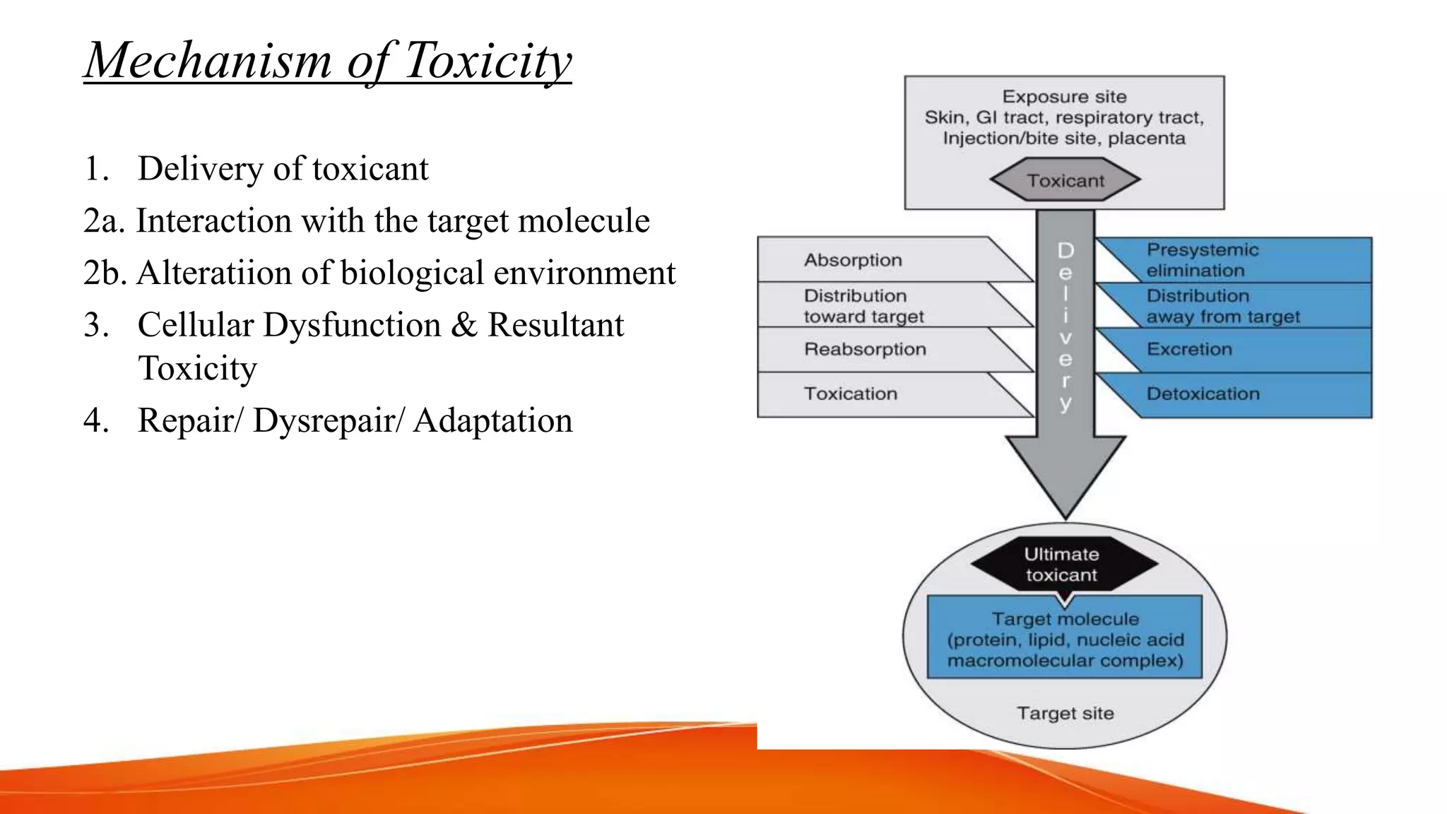 Toxicology | Definition | Types | Regulatory Guidelines | OECD ...