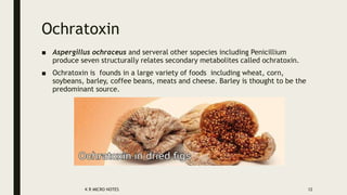 Toxicology PRINCIPLES OF TOXICOLOGY ppt. | PPTX