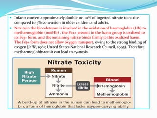Nitrate and Nitrite poisoning | PPTX