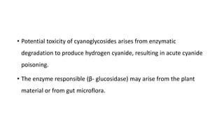 Toxicology of cardioactive & cyanogenic glycosides (1) | PPTX
