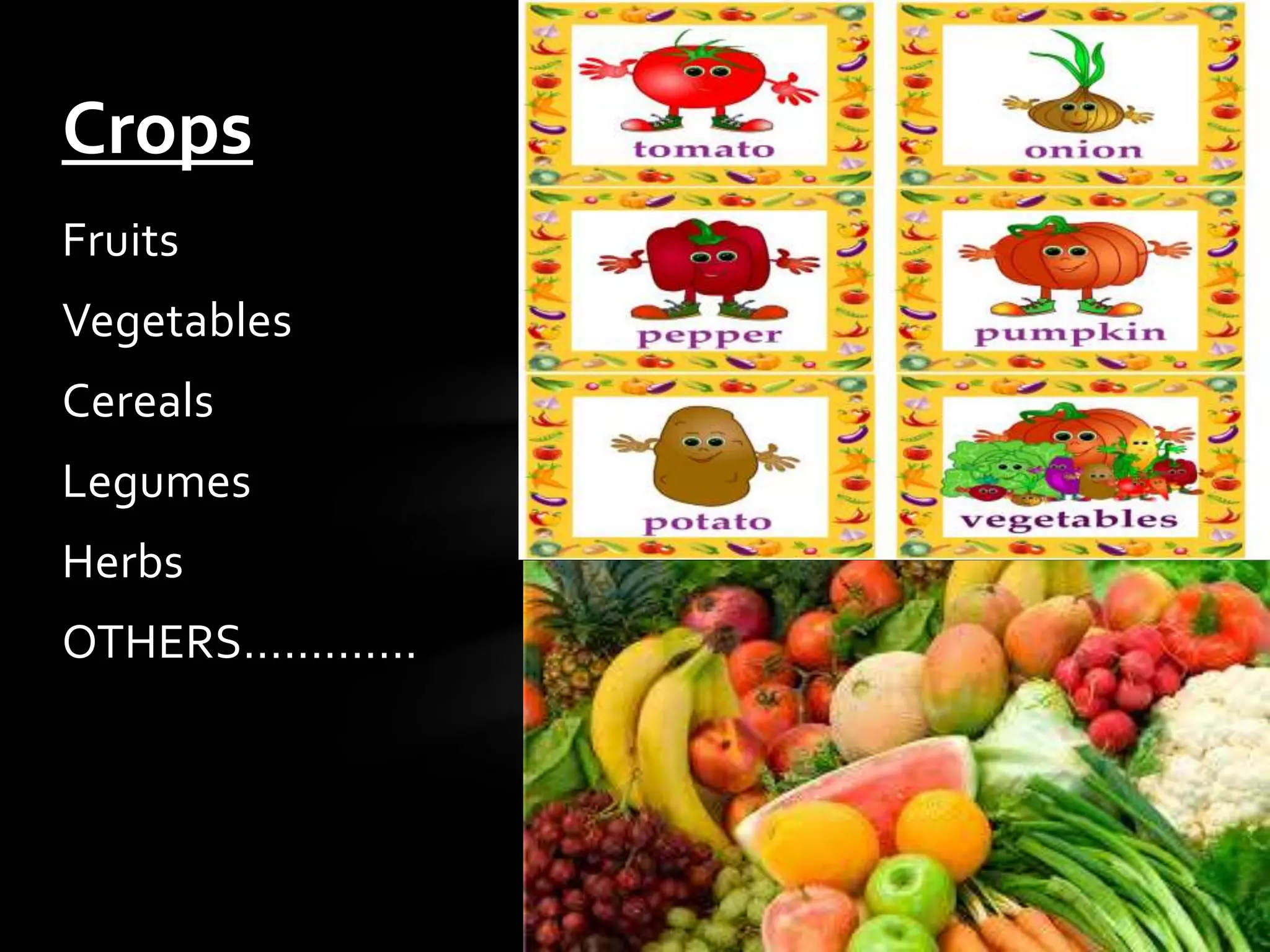 Toxicology of drugs and pesticides classification,history,mechanism of ...