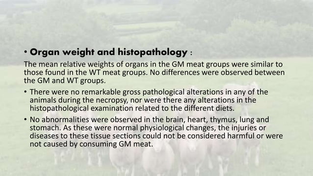 Toxicology of genetically modified sheep meat | PPT