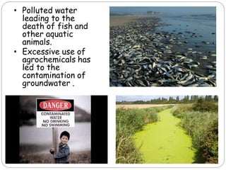insecticide pollution, persistance and problems associated with ...