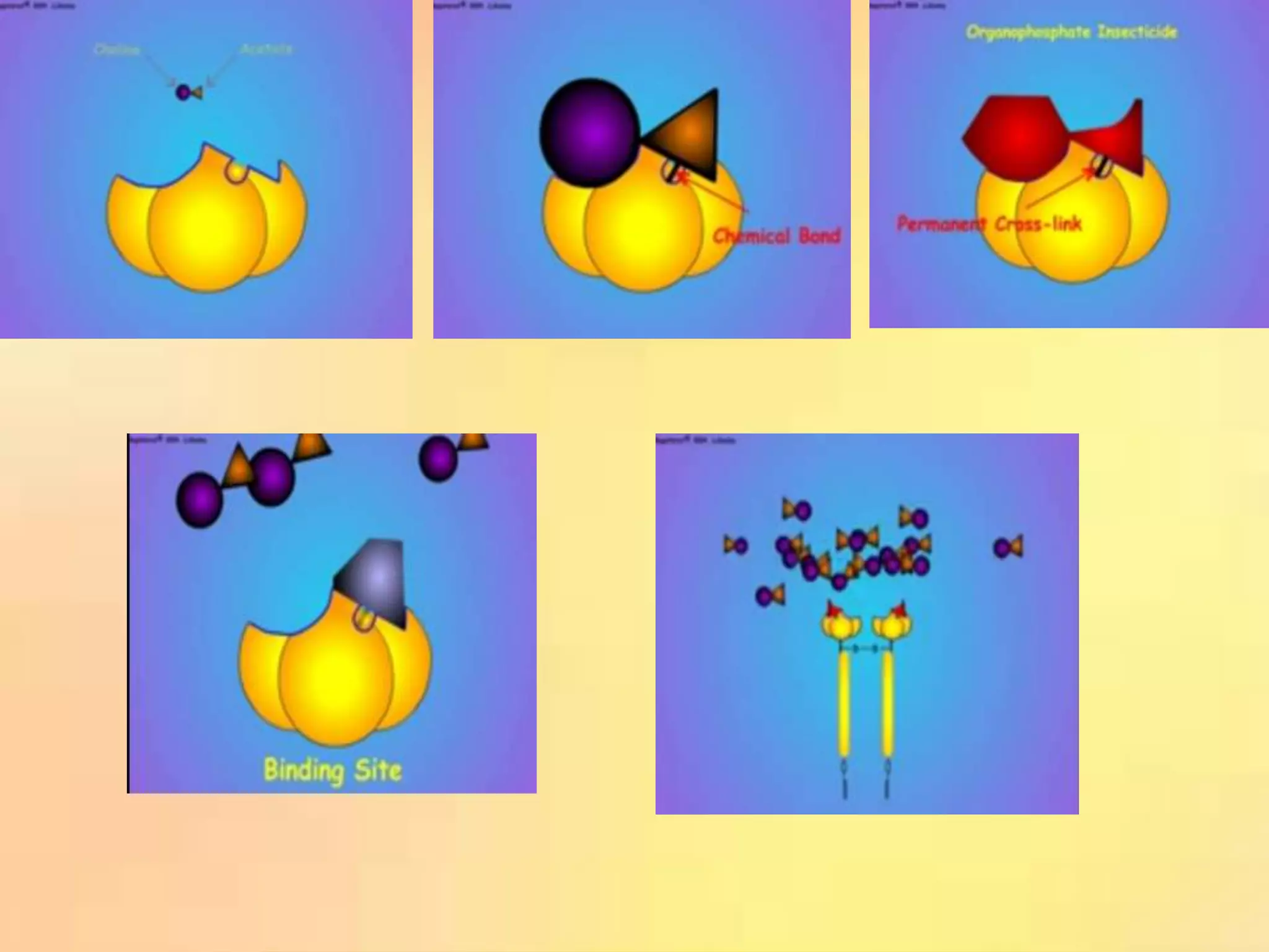 CLASSIFICATION OF INSECTICIDES AND THEIR MODE OF ACTION | PPTX