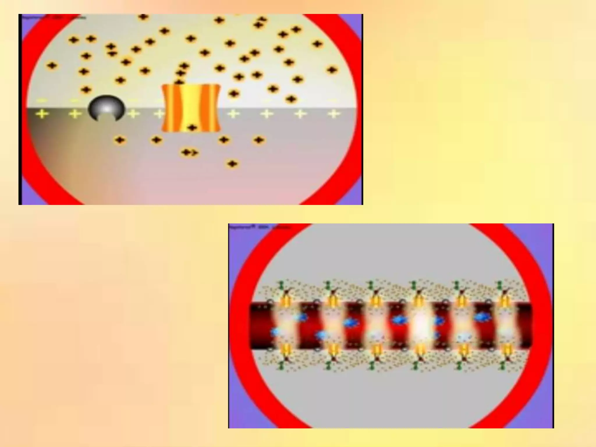 CLASSIFICATION OF INSECTICIDES AND THEIR MODE OF ACTION | PPTX
