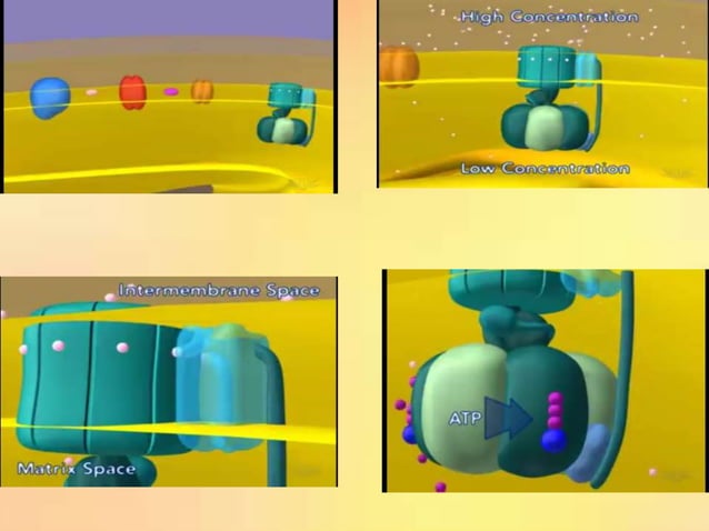 CLASSIFICATION OF INSECTICIDES AND THEIR MODE OF ACTION | PPTX ...