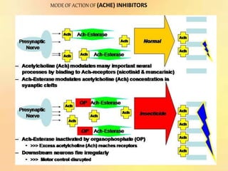 CLASSIFICATION OF INSECTICIDES AND THEIR MODE OF ACTION | PPTX