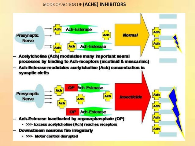 CLASSIFICATION OF INSECTICIDES AND THEIR MODE OF ACTION | PPTX ...
