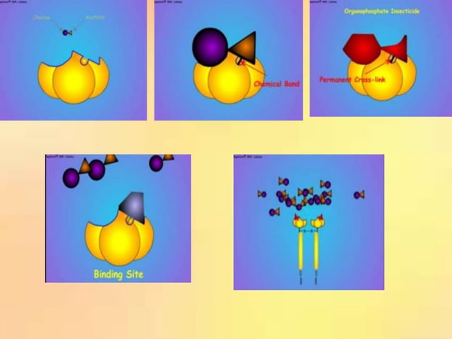 CLASSIFICATION OF INSECTICIDES AND THEIR MODE OF ACTION | PPTX ...
