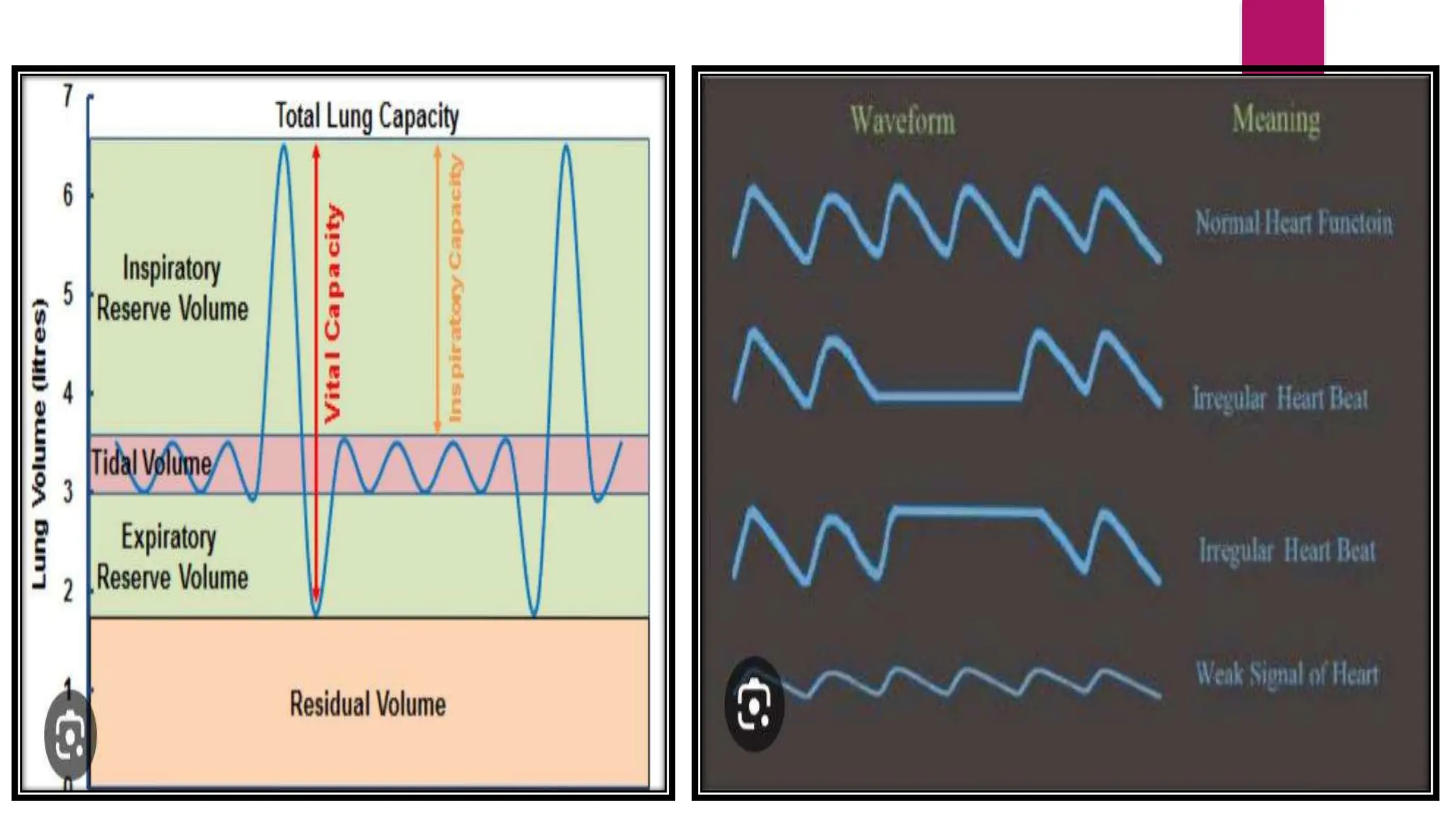 Toxicology Screening Models.pptx