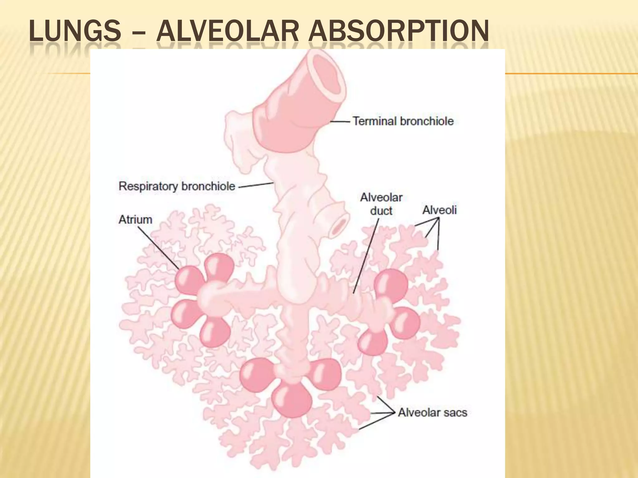 Toxicology | PPTX