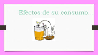 TOXICOMANÍA, DROGAS Y ALCOHOLISMO, REHABILITACIÓN | PPTX