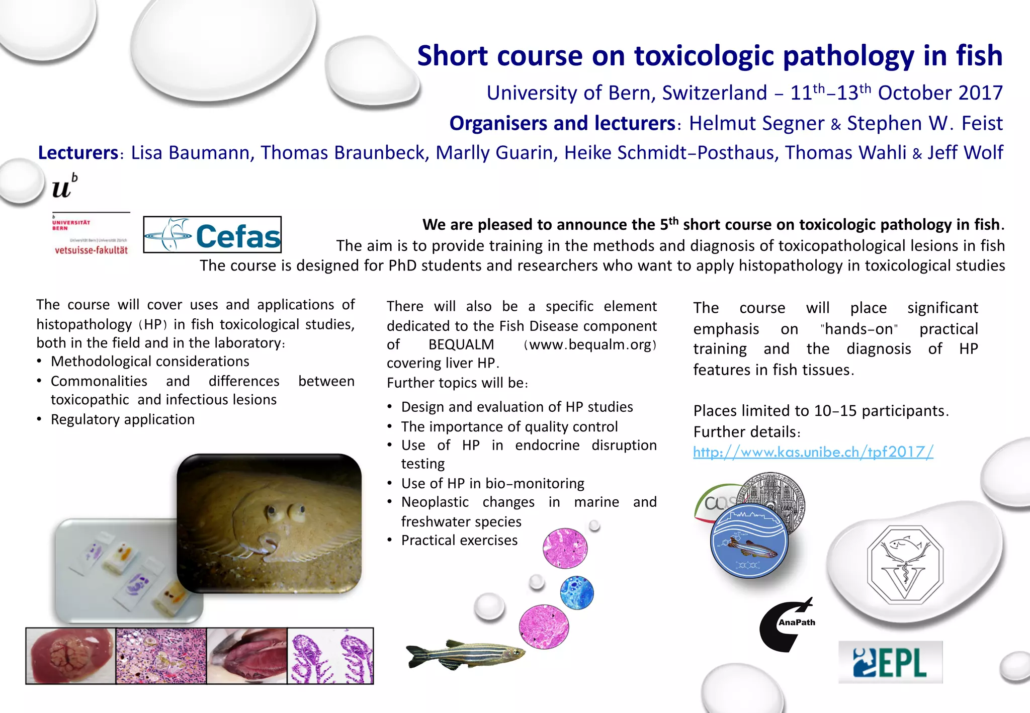 Pathology in Fish | PDF