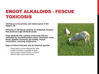 Toxic palnts | PPTX | Digestive Disorders | Diseases and Conditions