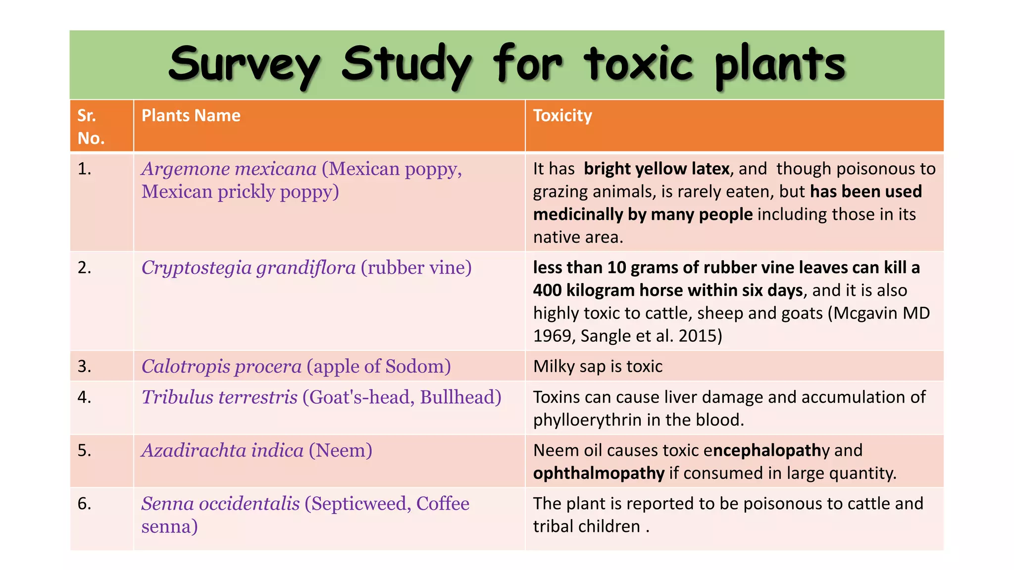 Toxic plants.pptx