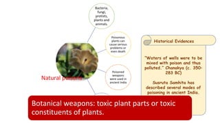 Toxic plants.pptx