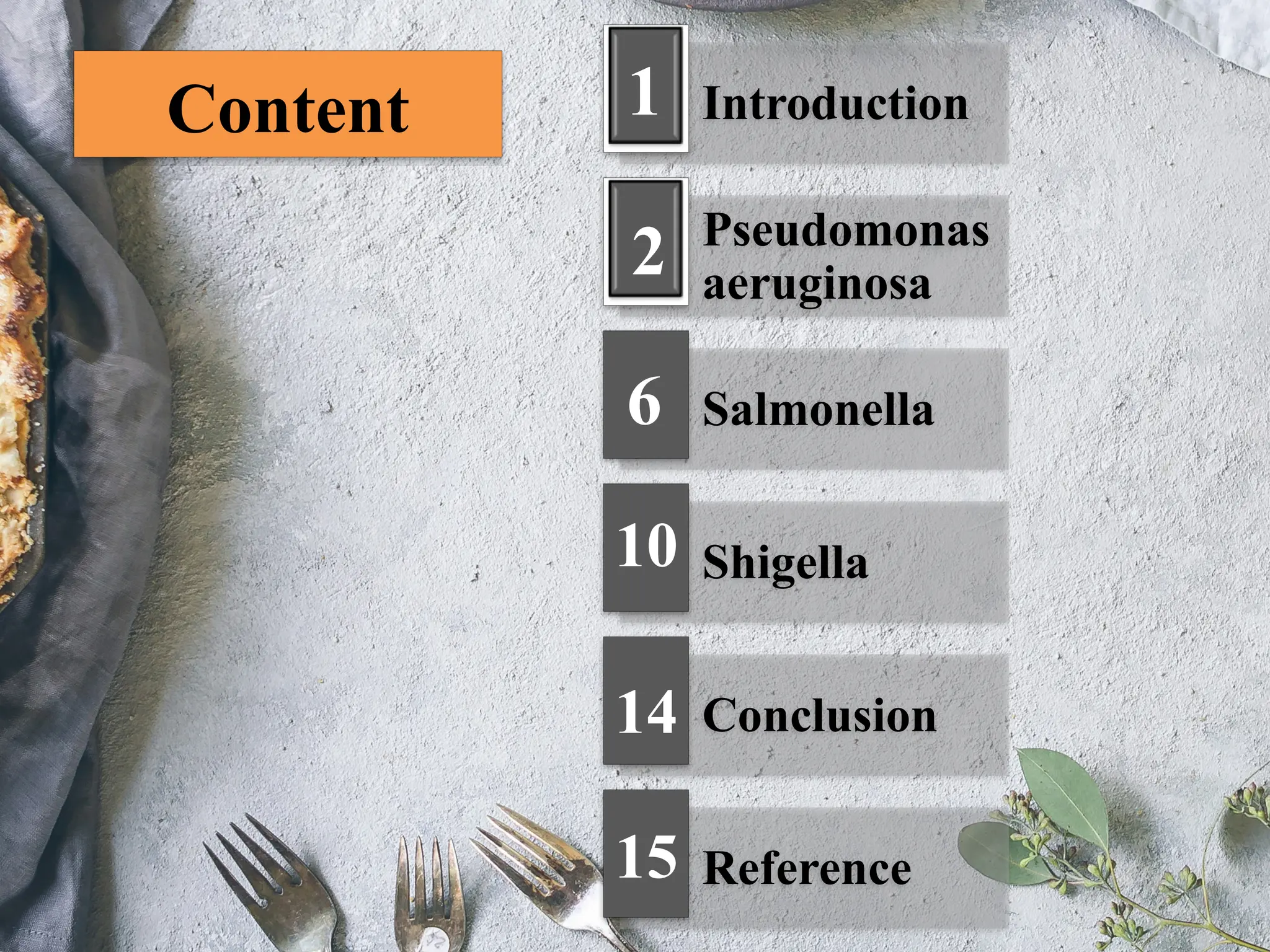 Pseudomonas aeruginosa salmonella shigella food spoilage and pathogens ...