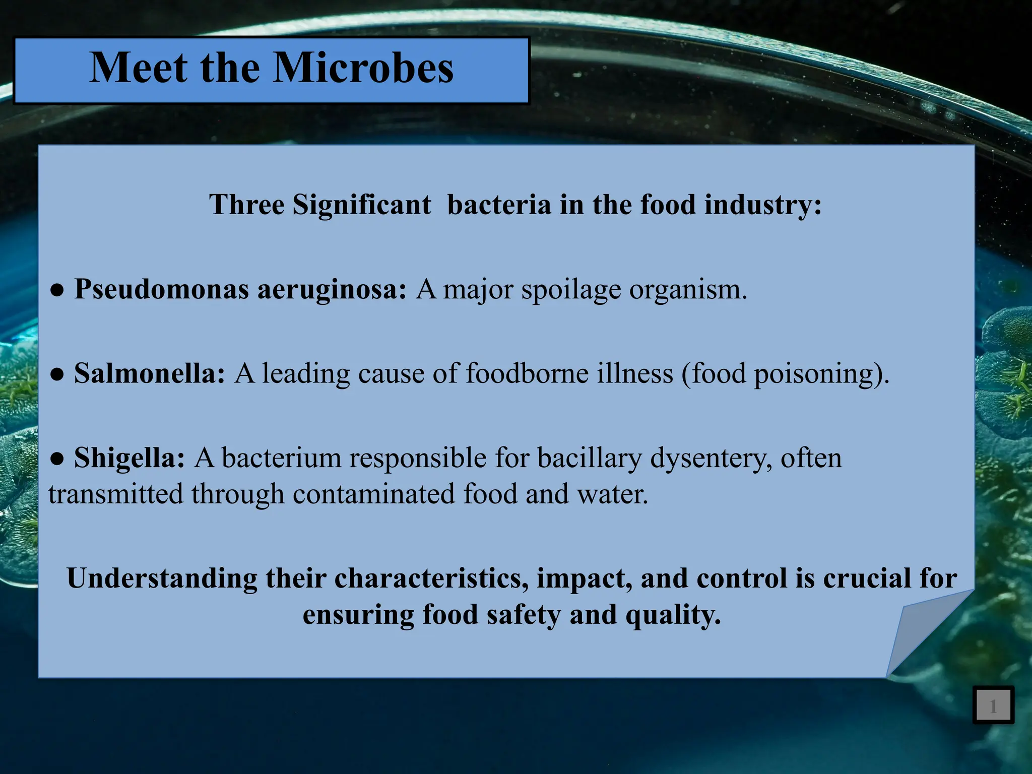 Pseudomonas aeruginosa salmonella shigella food spoilage and pathogens ...