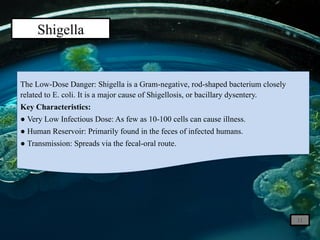 Pseudomonas aeruginosa salmonella shigella food spoilage and pathogens ...