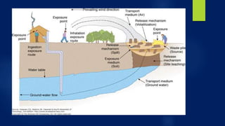 Toxic responses of solvents and vapours | PPTX