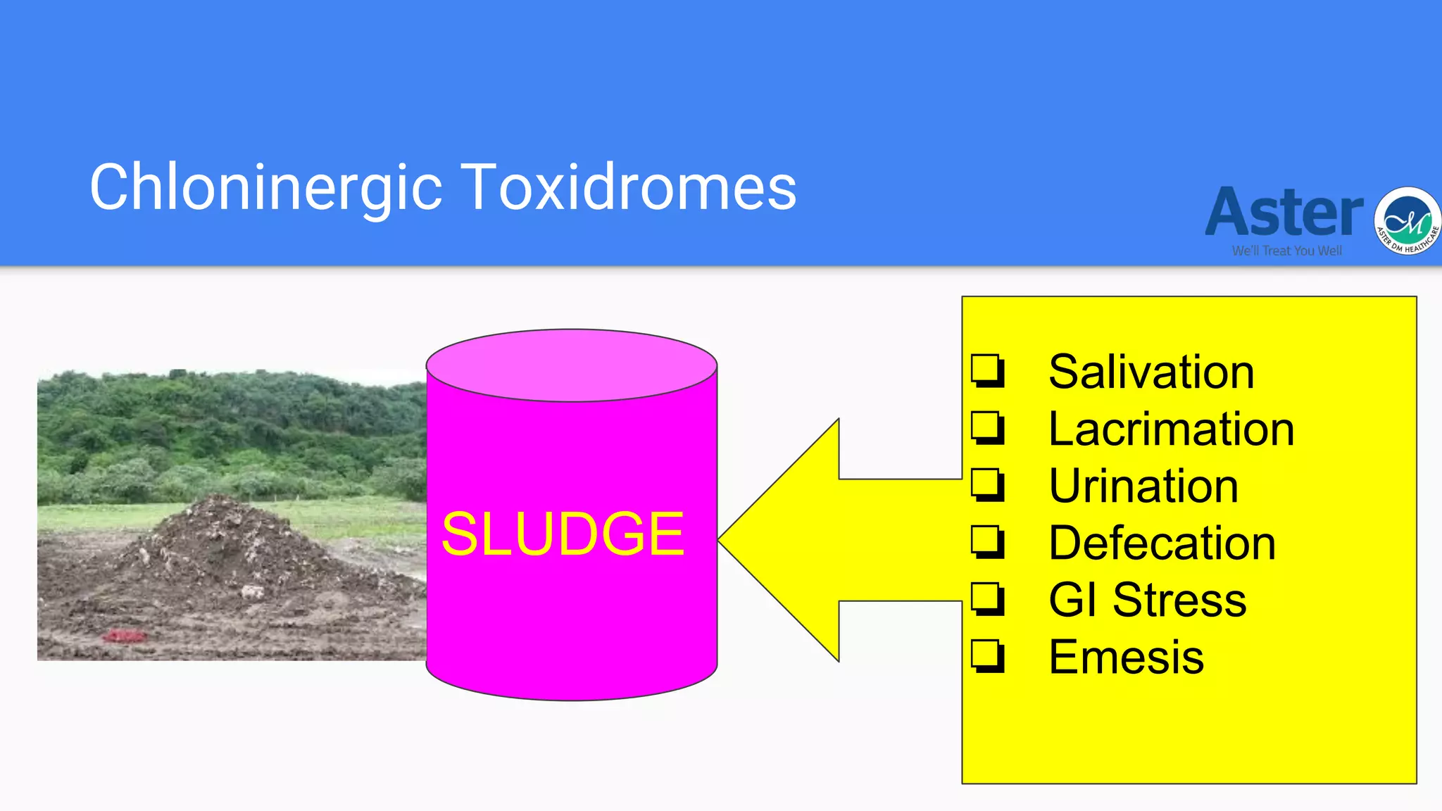 Toxidrome approach in emergency room | PDF