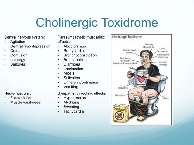 Toxidromes | PPTX | Illegal Drugs, Tobacco, eCigarettes, Vaping ...