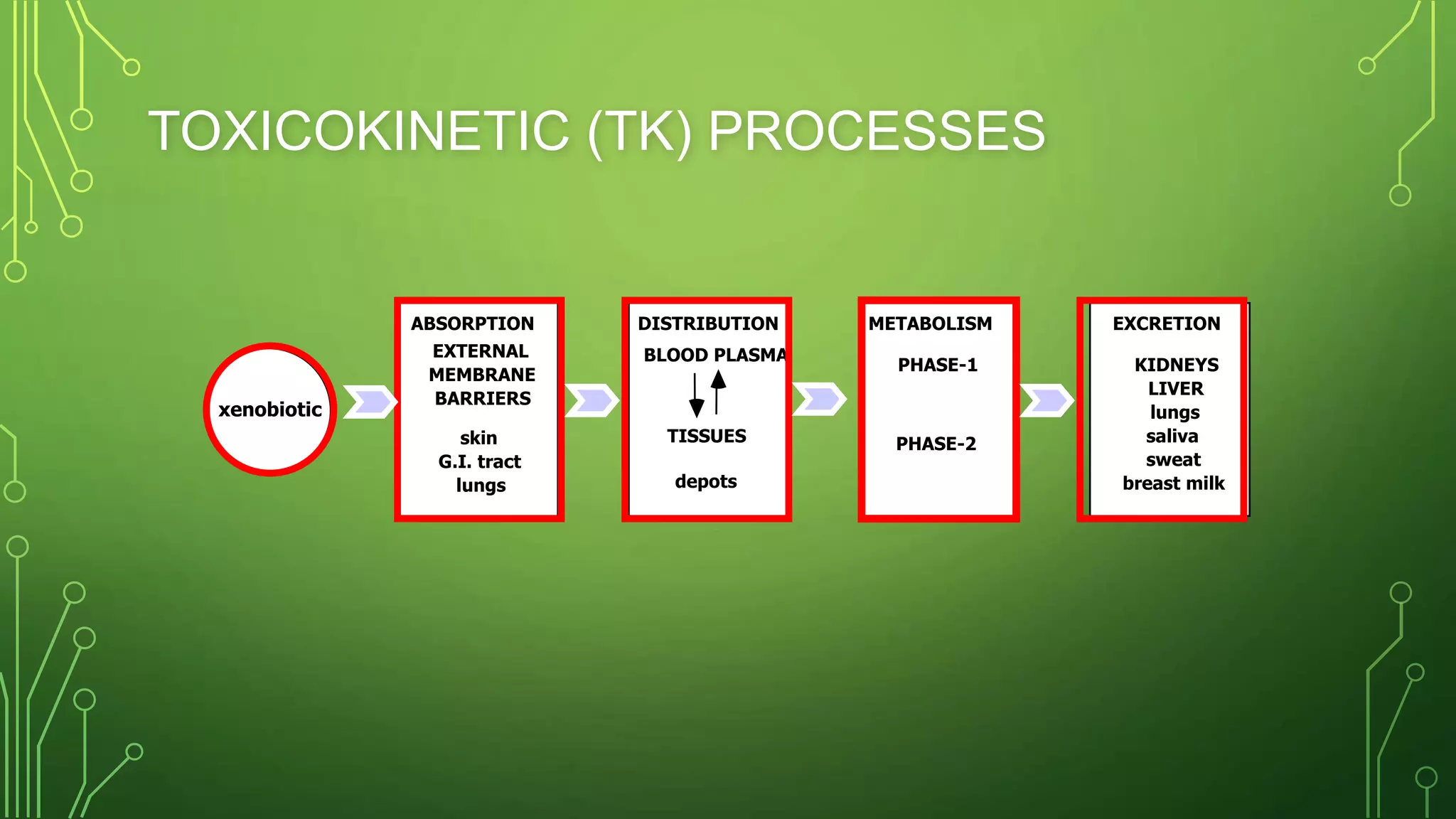 Toxikokinetics | PPTX