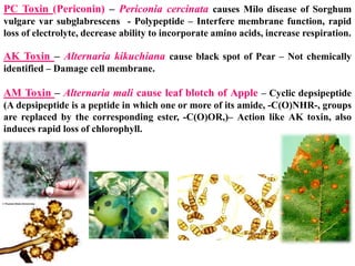 IMPORTANCES OF MICROBIAL TOXINS IN PLANT DISEASES.pptx