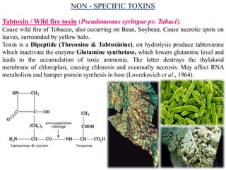 IMPORTANCES OF MICROBIAL TOXINS IN PLANT DISEASES.pptx